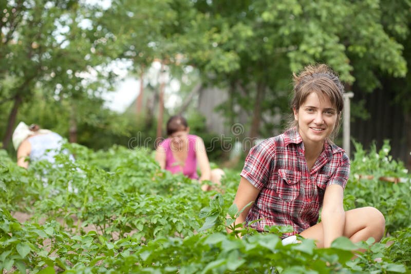 Women Working in Her Garden Stock Image - Image of female, outdoor ...