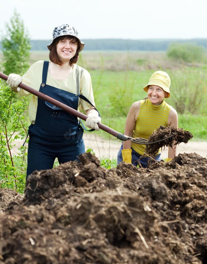 Women Works with Animal Manure Stock Image - Image of happy ...
