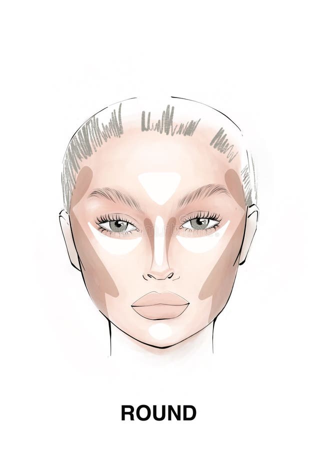 Women face chart in color stock illustration. Illustration of clean ...