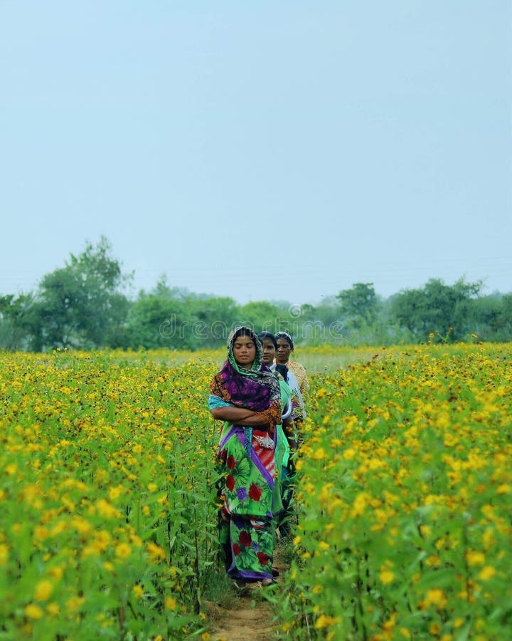 Womens in farm stock photo. Image of nature, sarso, womens - 104940290
