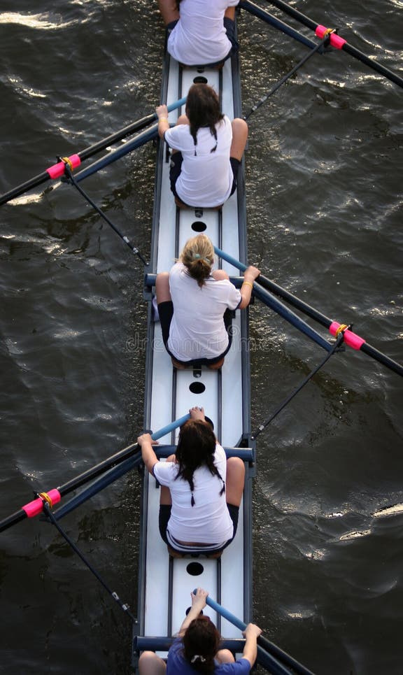Womens rowing team editorial photo. Image of work, team - 340171