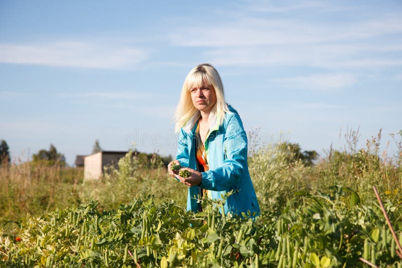 Womwn in moestuin stock foto. Image of voedsel, verzamelen - 118825598