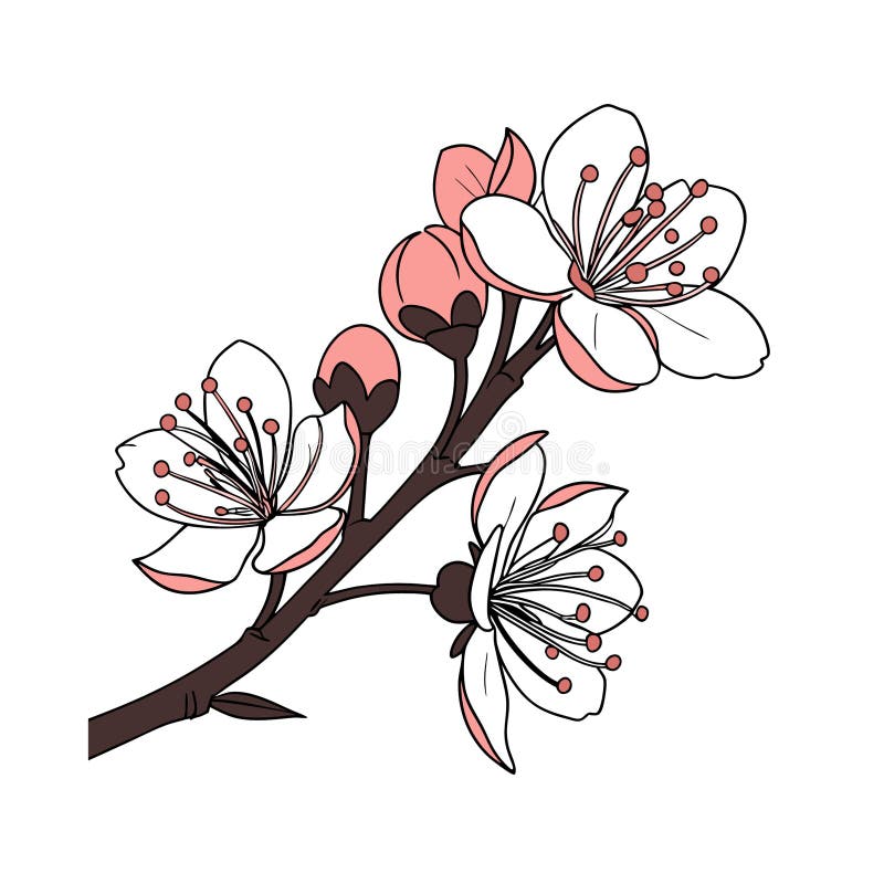 Wonder Bloom Flower Illustration with Bold Outline Stock Image ...