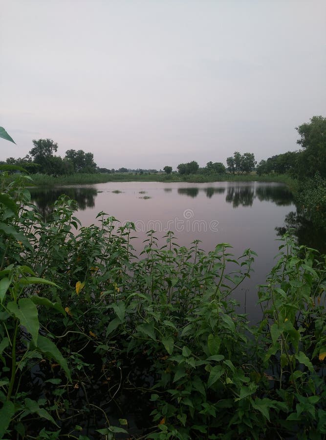 Wonder landscape of india stock image. Image of forest - 121013577