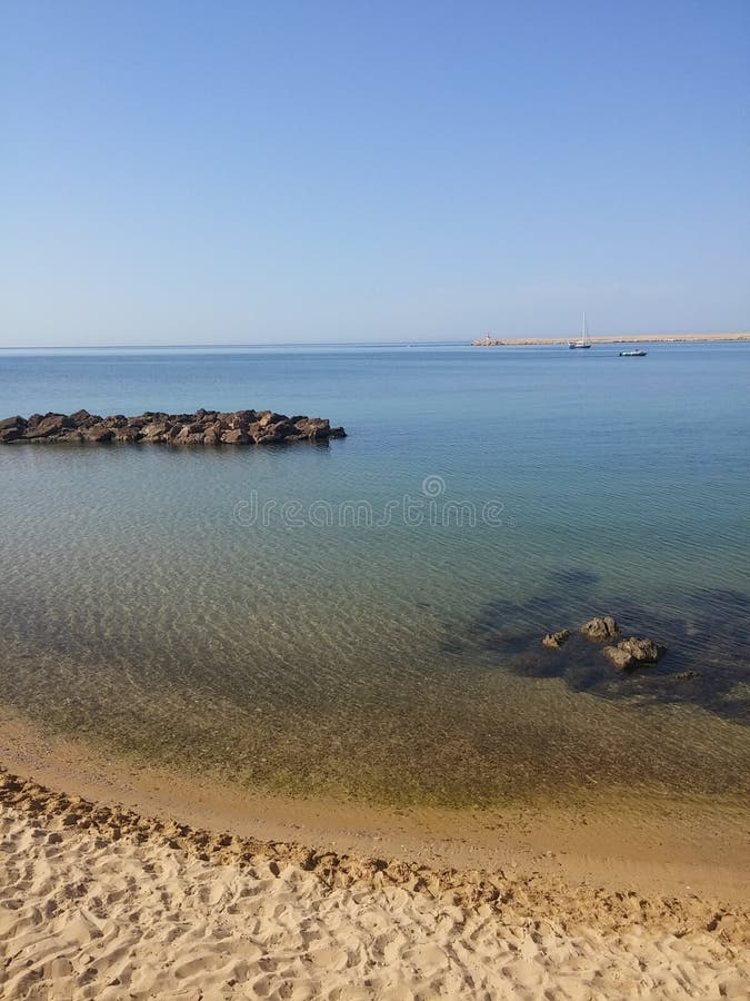 Taste of sea stock photo. Image of taste, summer, beautiful - 125578652