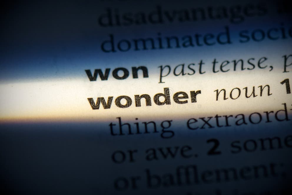 Wonder stock photo. Image of reference, isolated, highlighted - 161576012