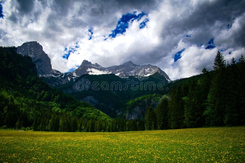Wonderful Alpine Nature and Fresh Air Stock Image - Image of fresh ...