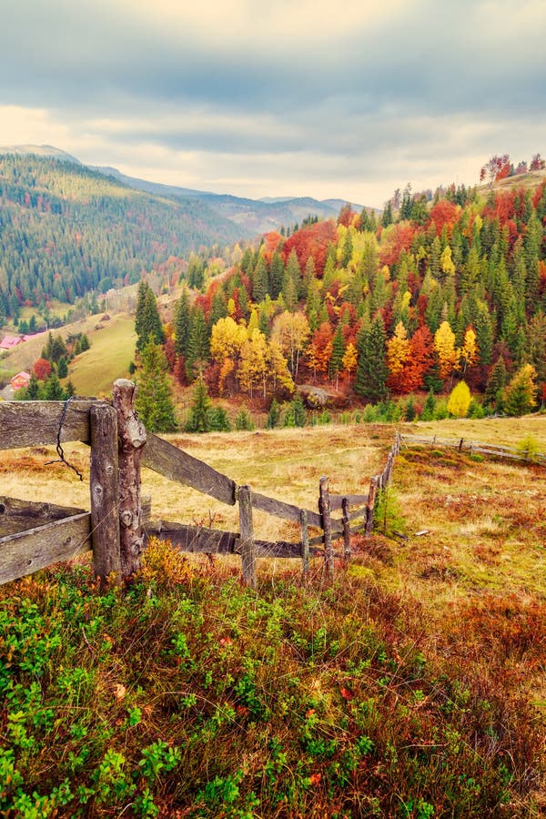 Wonderful Autumn Hillside in Transylvania Stock Image - Image of green ...