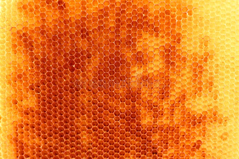 52,570 Beehive Photos - Free & Royalty-Free Stock Photos from Dreamstime