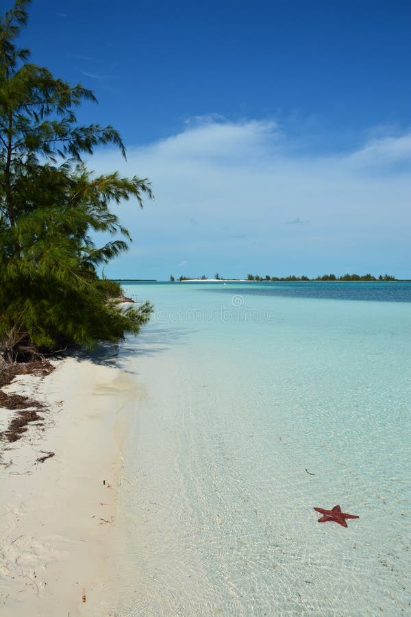 Wonderful beach stock photo. Image of nature, destination - 54485108