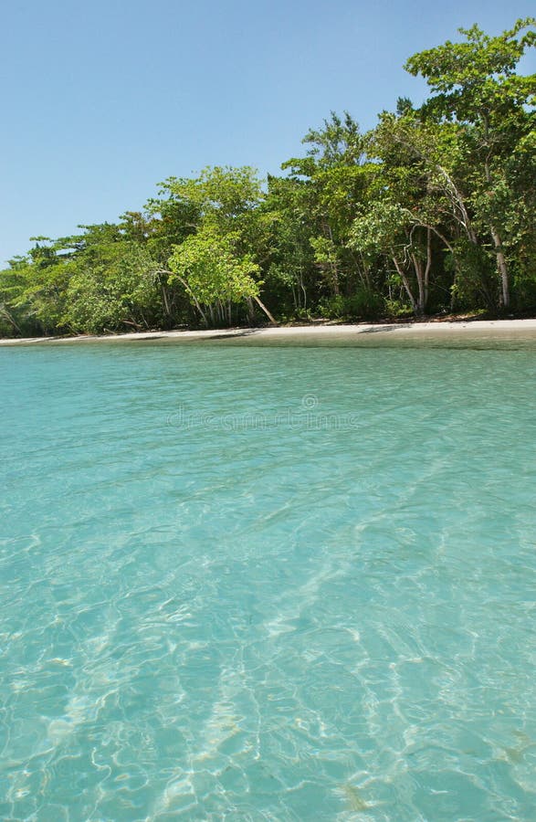 Wonderful beach stock photo. Image of relaxation, caribbean - 51436478