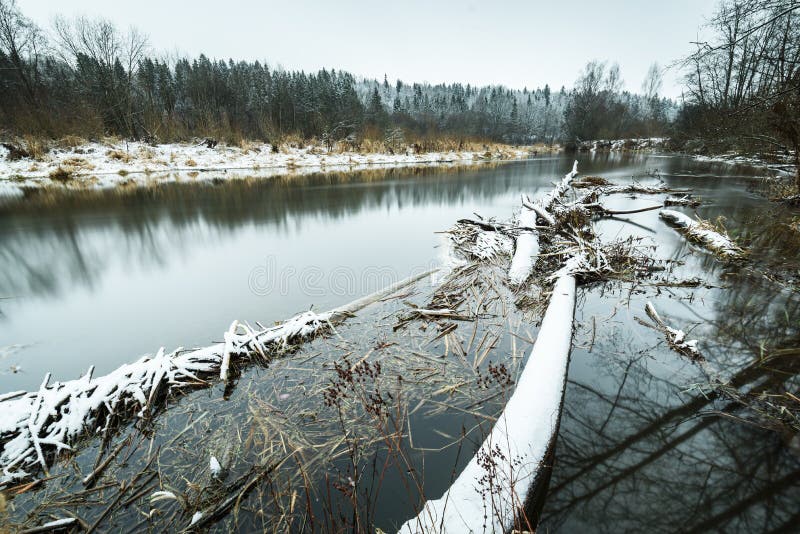 Wonderful Cold Winter Morning in Lithuania. Stock Photo - Image of ...