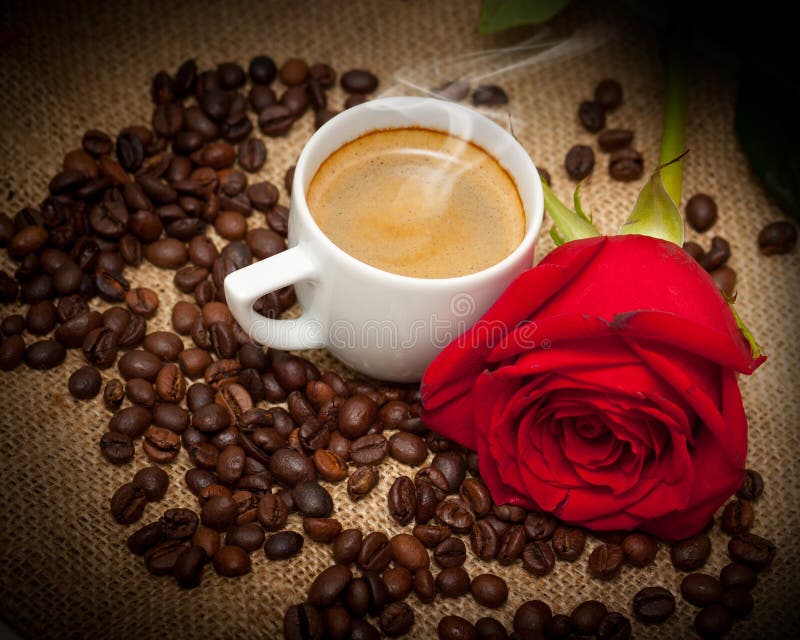 Wonderful Cup of Hot Coffee and Red Rose Stock Photo - Image of drink ...