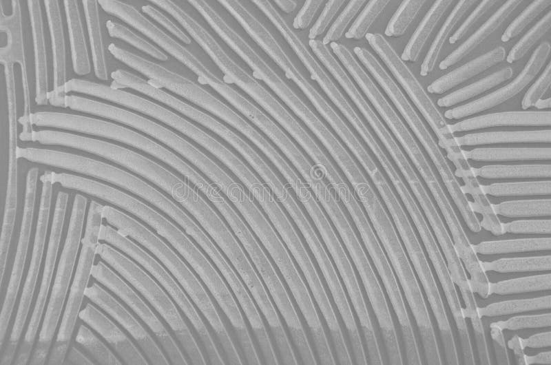 Wonderful Curve Line Pattern Close Up Stock Photo - Image of pattern ...