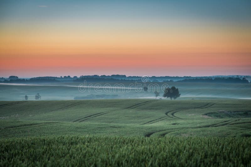 Wonderful Dawn At Foggy Field In Summer Stock Image Image Of Farm Grass 104524509
