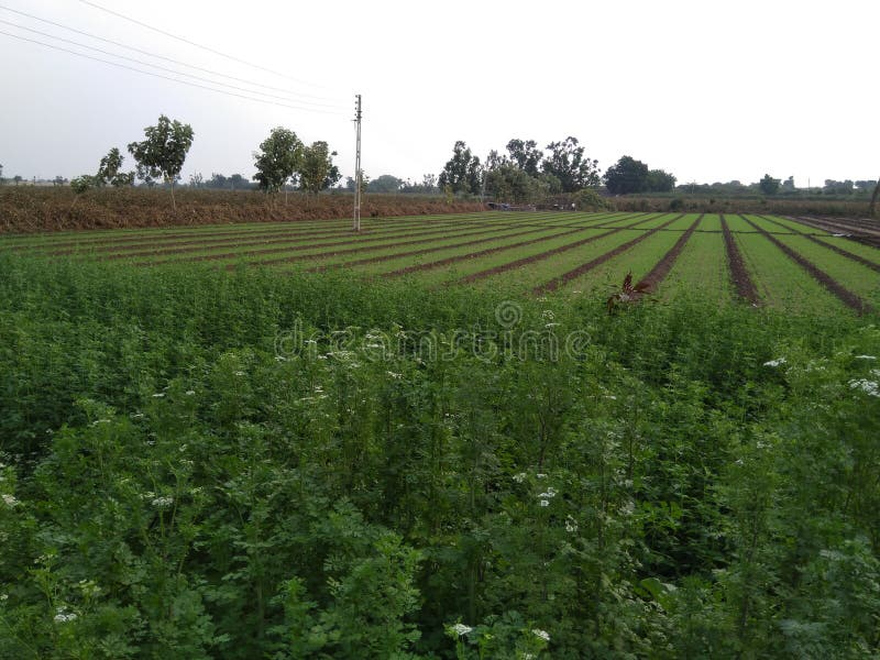 Bhimdad Stock Photos - Free & Royalty-Free Stock Photos from Dreamstime