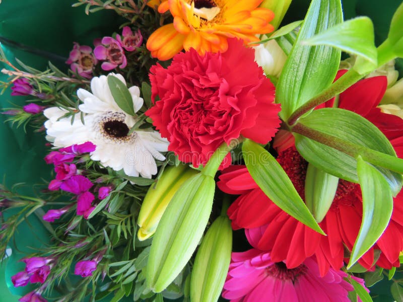 Wonderful Flowers with a Color and Smell so Good Stock Photo - Image of ...