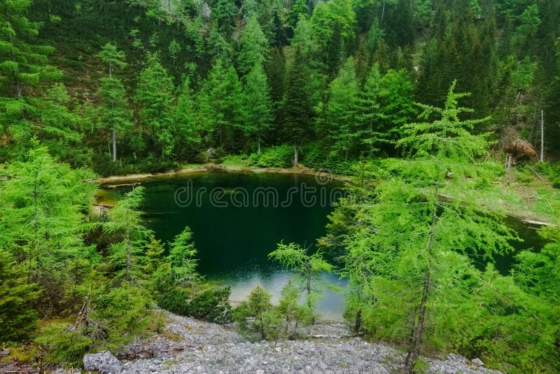Wonderful Green Forest Round from a Mountain Lake Stock Photo - Image ...