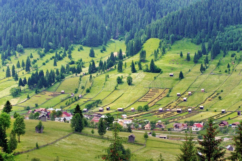 Summer Landscape In The Mountains And Hills, Moldova Stock Image ...