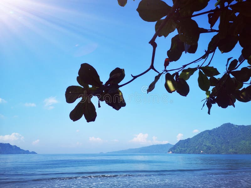 Wonderful Island in Trenggalek Beach Stock Photo - Image of island ...