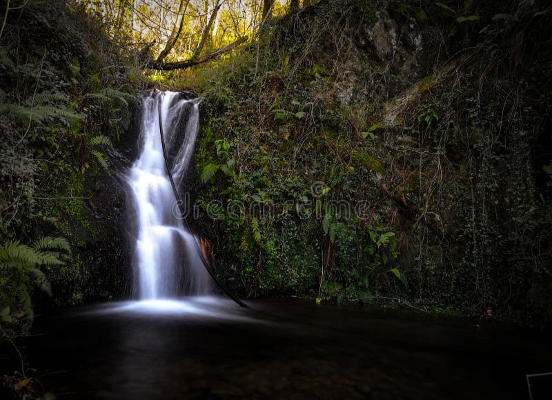 Wonderful Landscape of a Small Waterfall in a Forest in Spring Stock ...