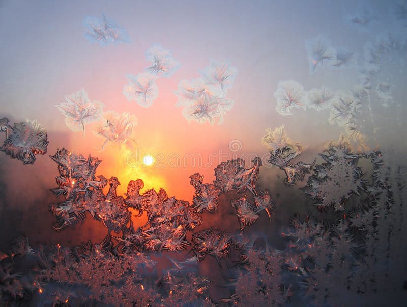 Wonderful morning #1 stock photo. Image of congeal, bird - 3436670