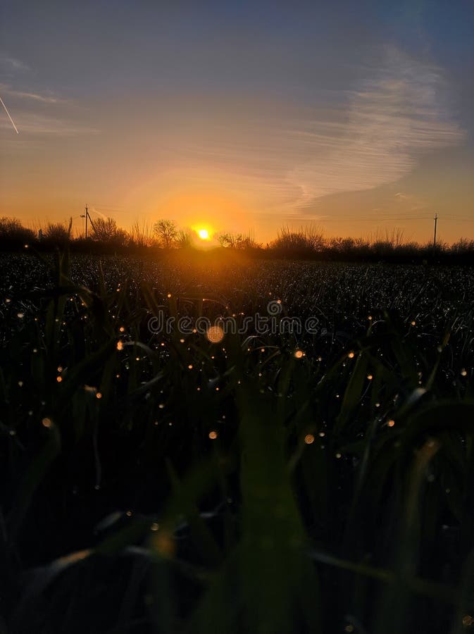 Wonderful Morning Men Sen Biz Stock Photo - Image of wonderful, ular ...