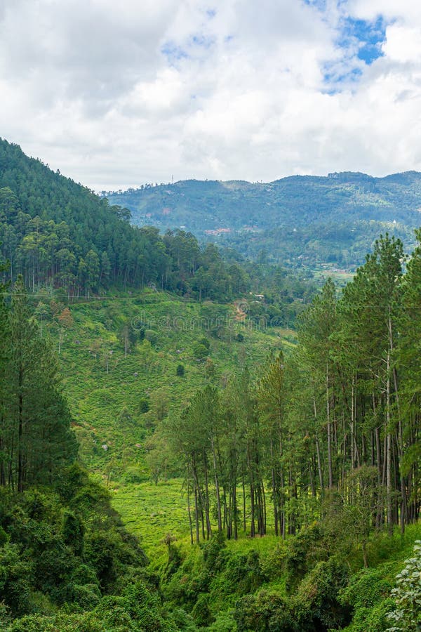 Wonderful Natural Landscape. Green Hilly Valley Stock Photo - Image of ...