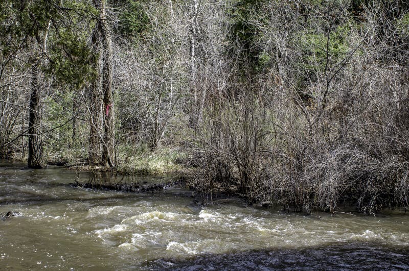 Wonderful Outdoor Stream stock image. Image of creek - 145719819