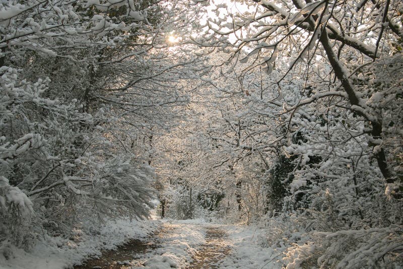 Sunshine and Snow Shadows stock photo. Image of frozen - 115806626