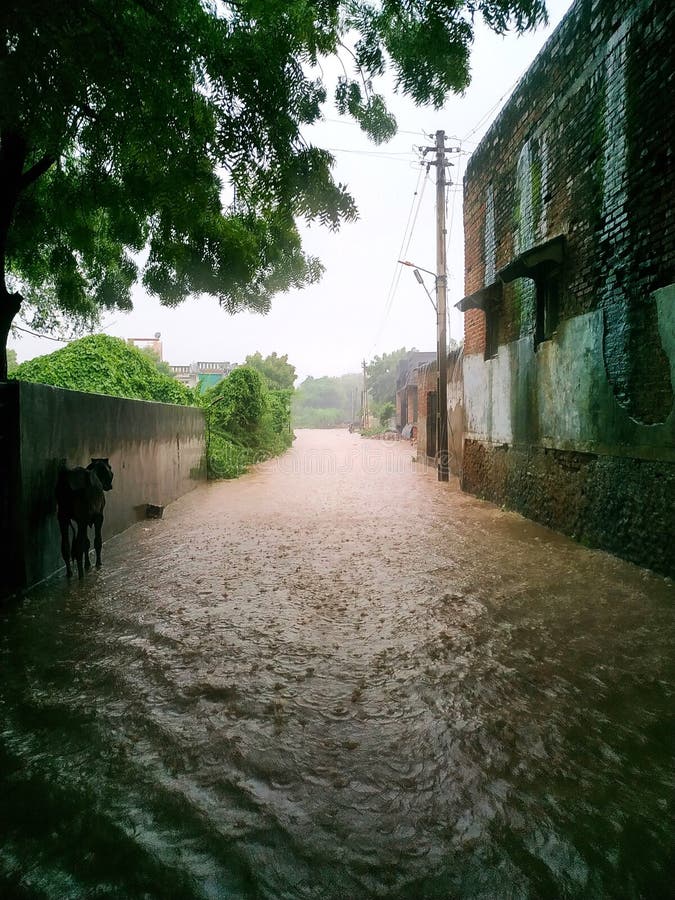Wonderful Rain in Indian Village Editorial Image - Image of sunlight ...