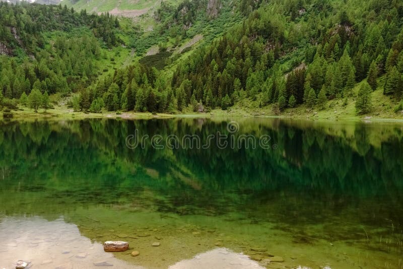Wonderful Reflection in the Clear Cold Water from a Lake Stock Photo ...