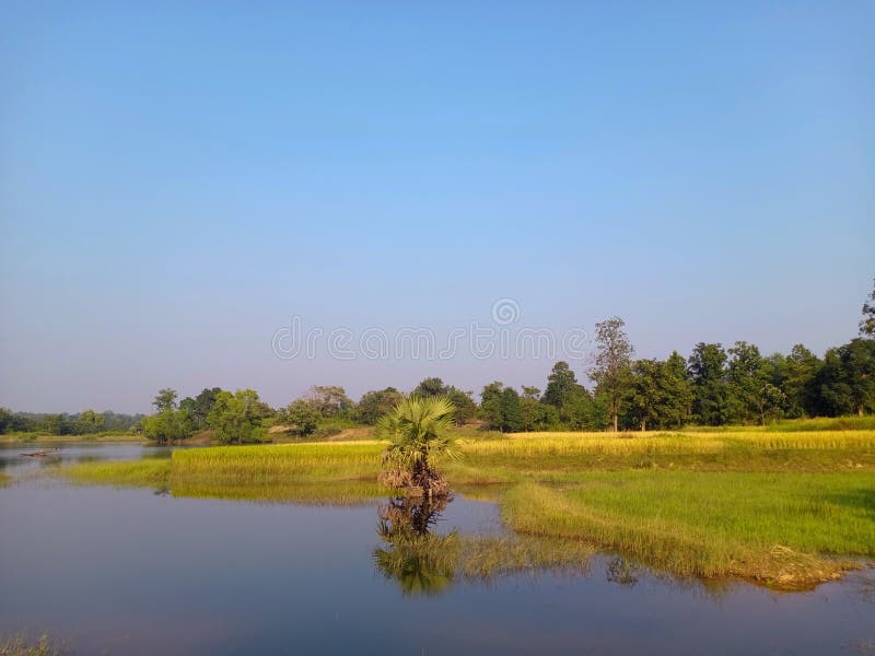 A Wonderful Scenario of the Nature Stock Photo - Image of plain, meadow ...
