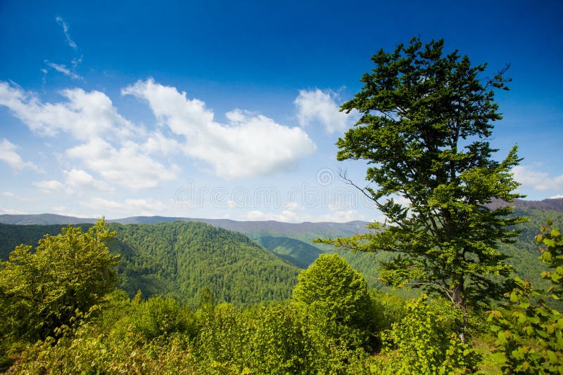 Wonderful Scenery of Green Moutain Stock Photo - Image of outdoors ...