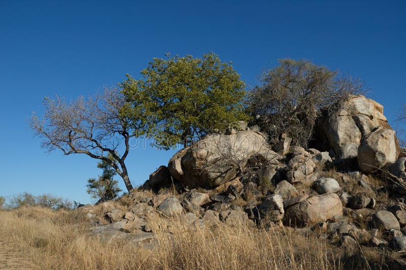 Wonderful South African Landscape Stock Photo - Image of south, africa ...