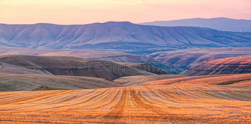 Fallow fields of wheat stock image. Image of river, textures - 302708523