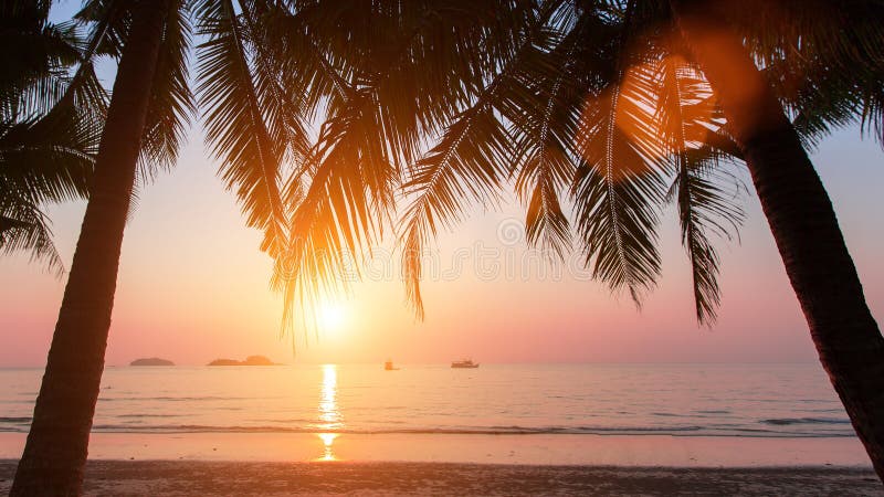 Wonderful Sunset on the Beach with Coconut Trees. Nature. Stock Photo ...
