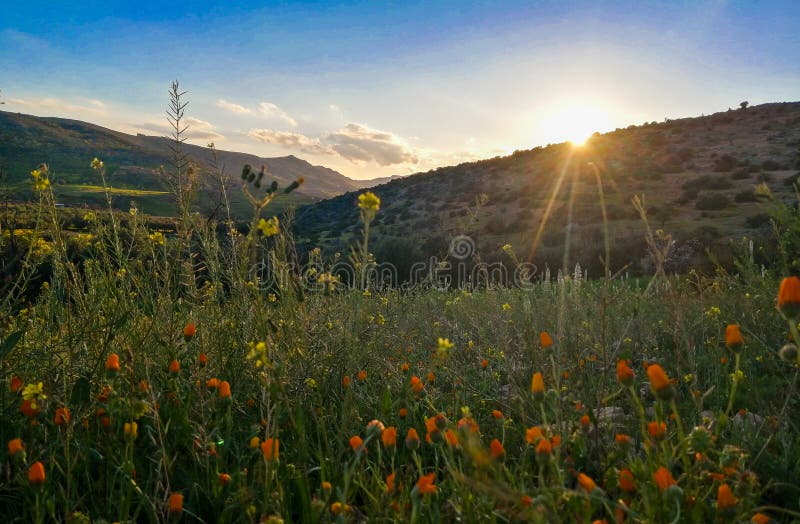 A Wonderful Sunset in Morocco Stock Photo - Image of sunset, rise ...