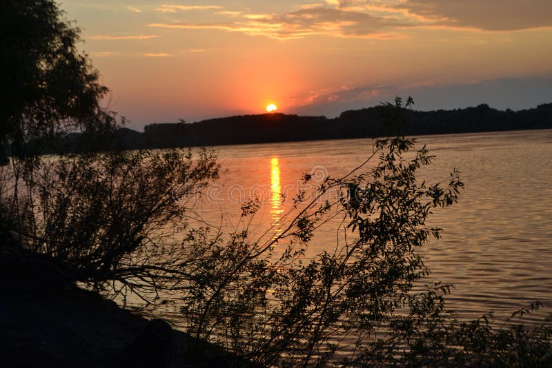 Wonderful Sunset Over Forest Stock Photo - Image of wonderful, poplar ...