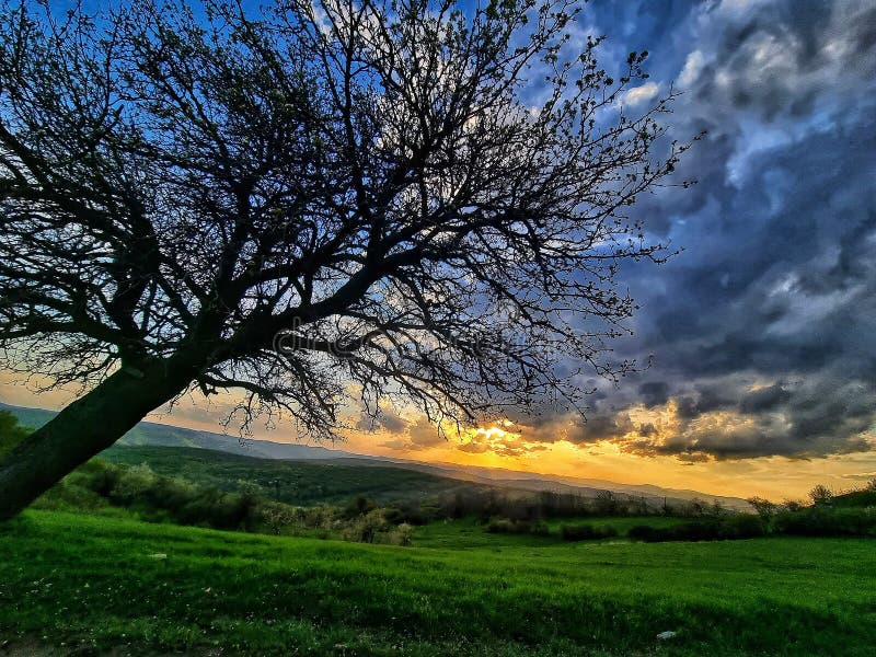 Wonderful Sunset in a Setting Full of Greenery Stock Image - Image of ...