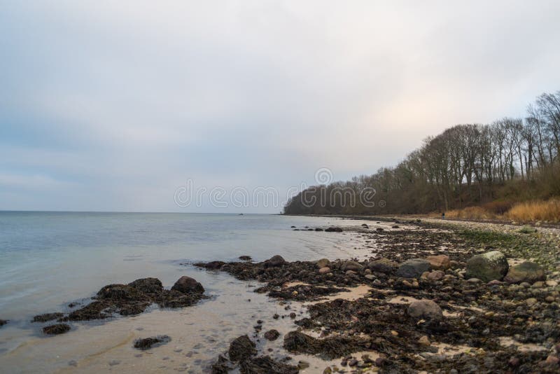 Wonderful View of a Beach with Many Stones on and in the Water Stock ...