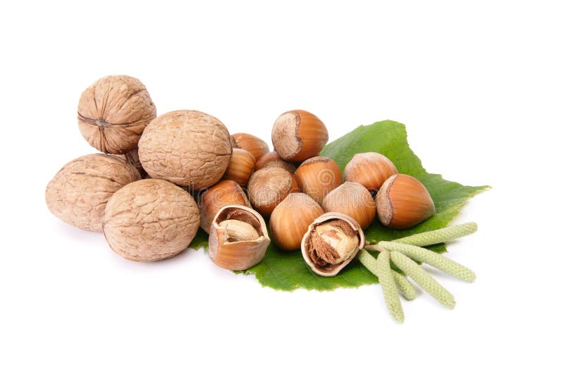 Wonderful View of Hazelnuts and Walnuts. Stock Image - Image of harvest ...