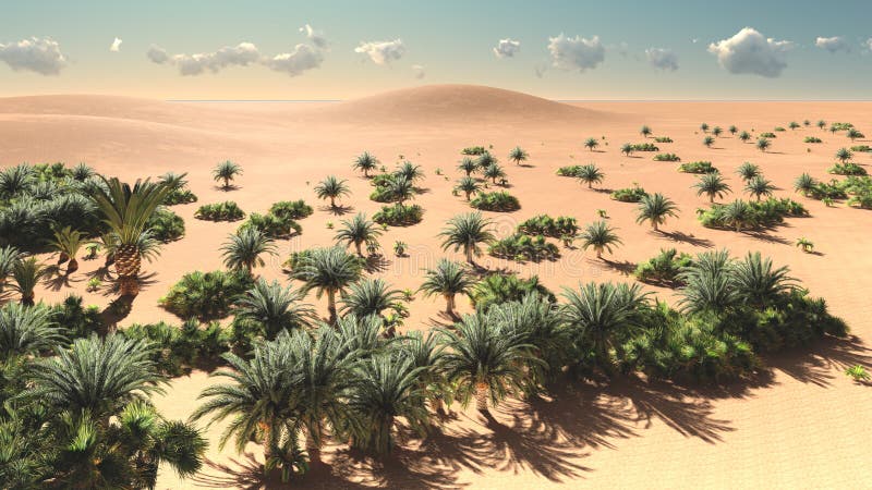 Wonderful View on Sahara Desert at Sundown 3d Rendering Stock ...