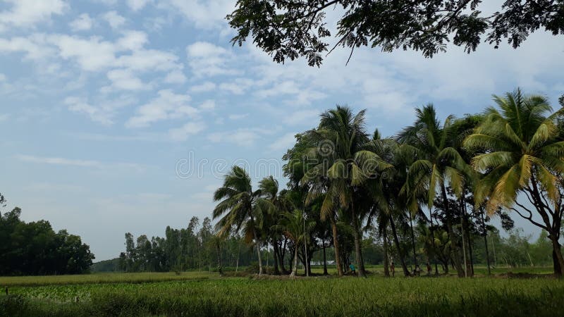 Wonderful Village Scenery with Beautiful Sky and Trees Stock Photo ...