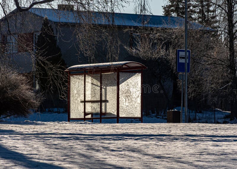 Wonderful Winter Day, Trees and Grass Covered with Frost, Bus Stop in ...