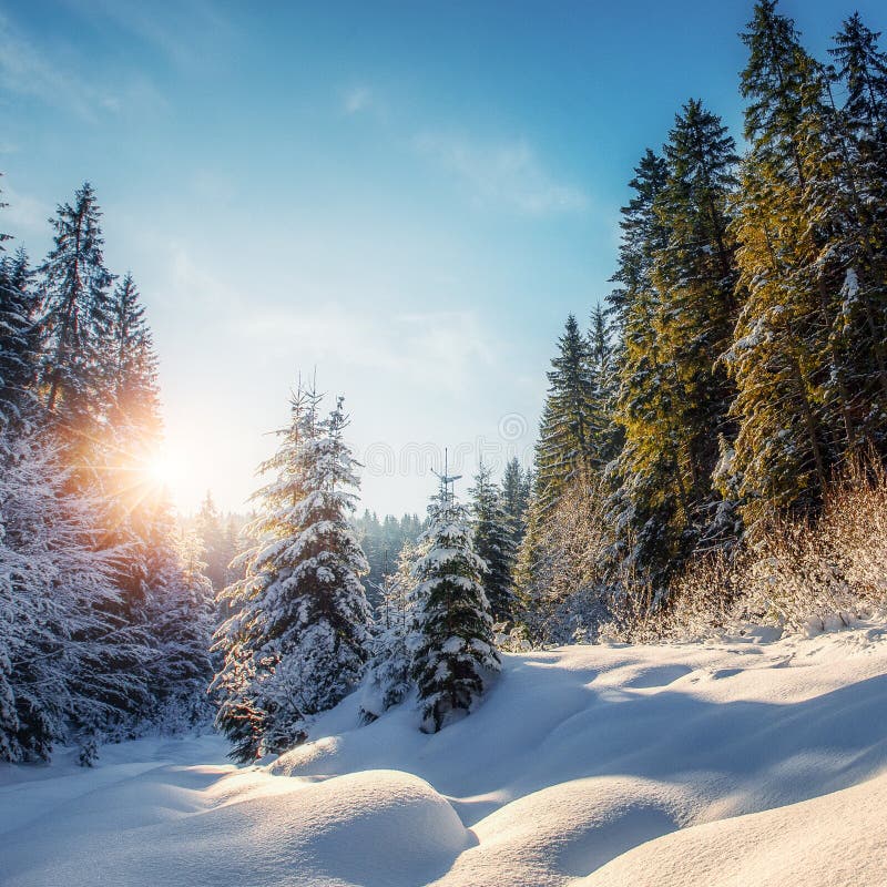 Wonderful Winter Landscape with Perfect Sky at Sunny Day Stock Image ...