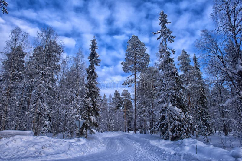 Wonderful Wintry Landscape. Stock Image - Image of cottage, frost ...
