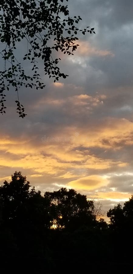 Wondering Looking High Up at the Sky.thinking Stock Photo - Image of ...