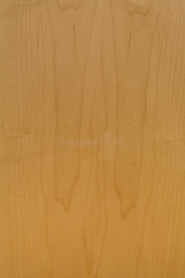 Birch plywood pattern stock image. Image of texture, macro - 34351131