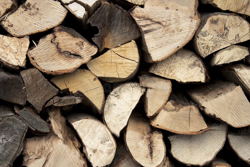 Wood stock image. Image of bark, wood, abstract, texture - 16176039